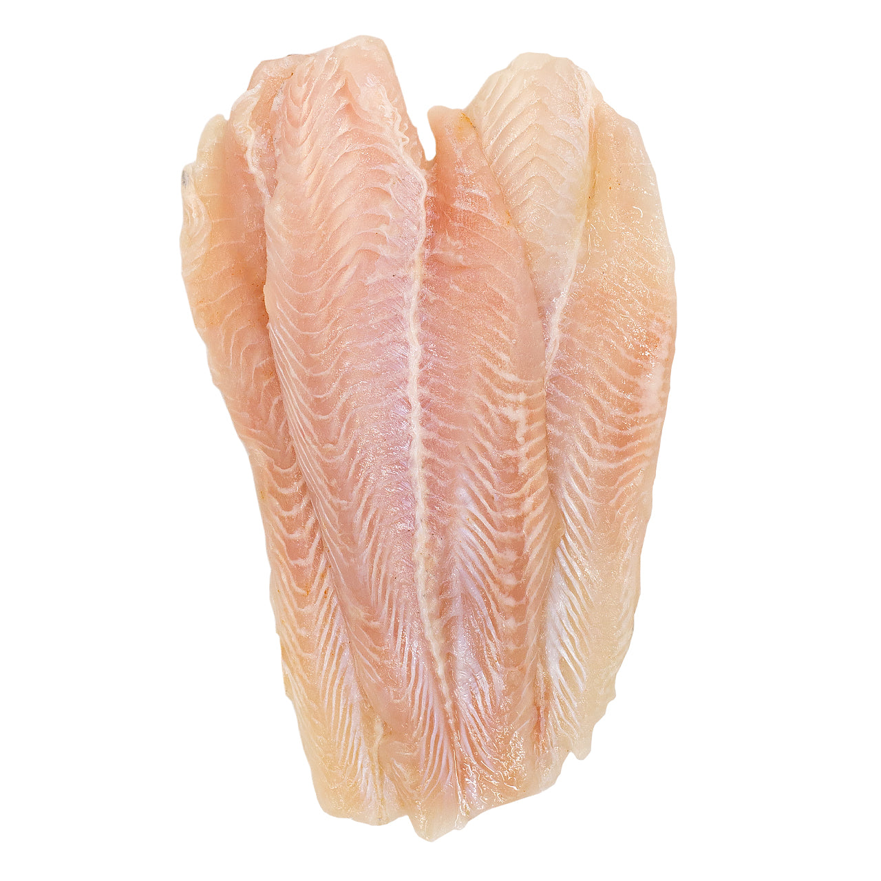 Fresh-Frozen Swai Fillets – Wholey's Market